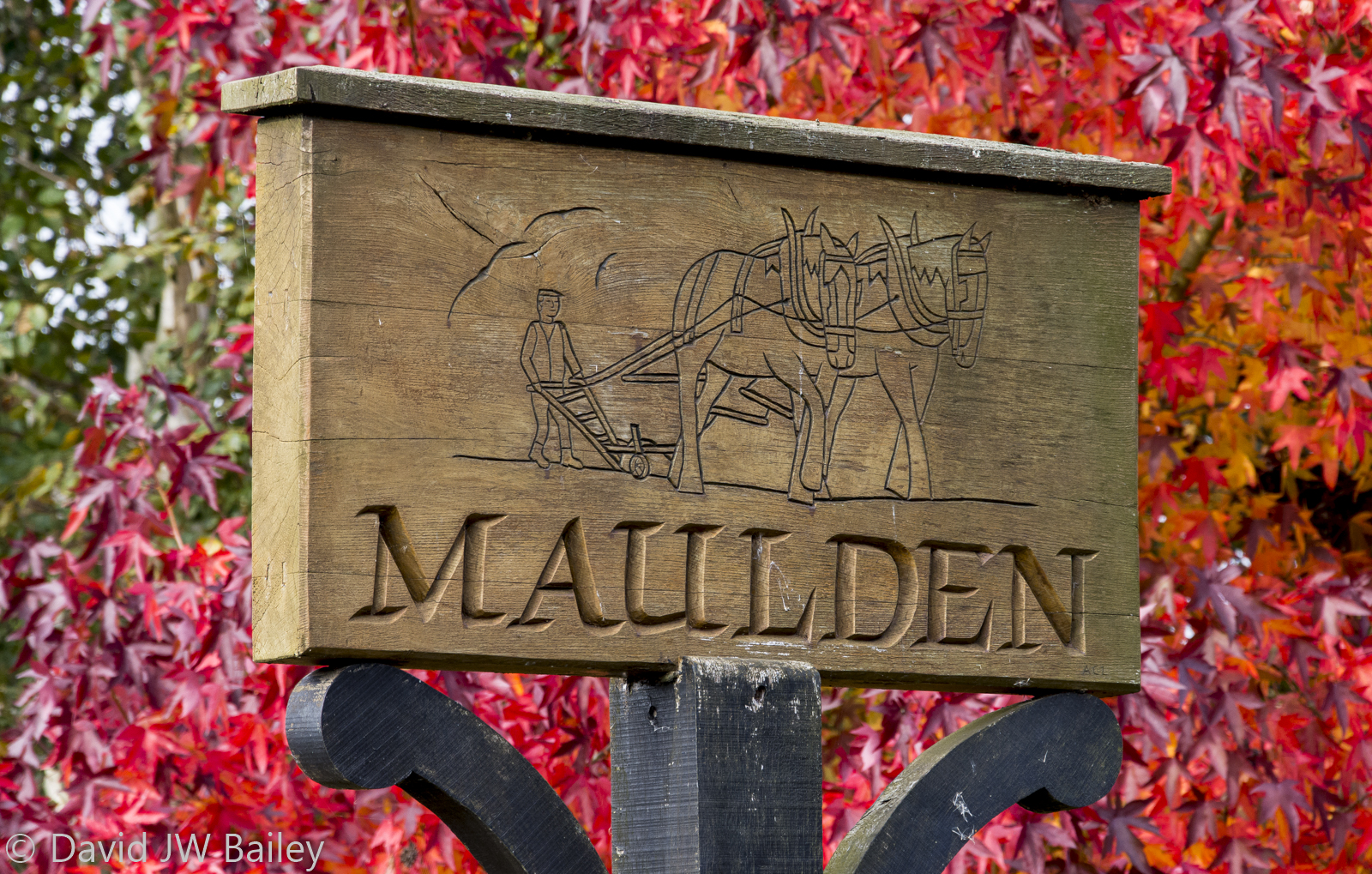 Photos - Maulden Wood (Autumn 2016) - Maulden Village