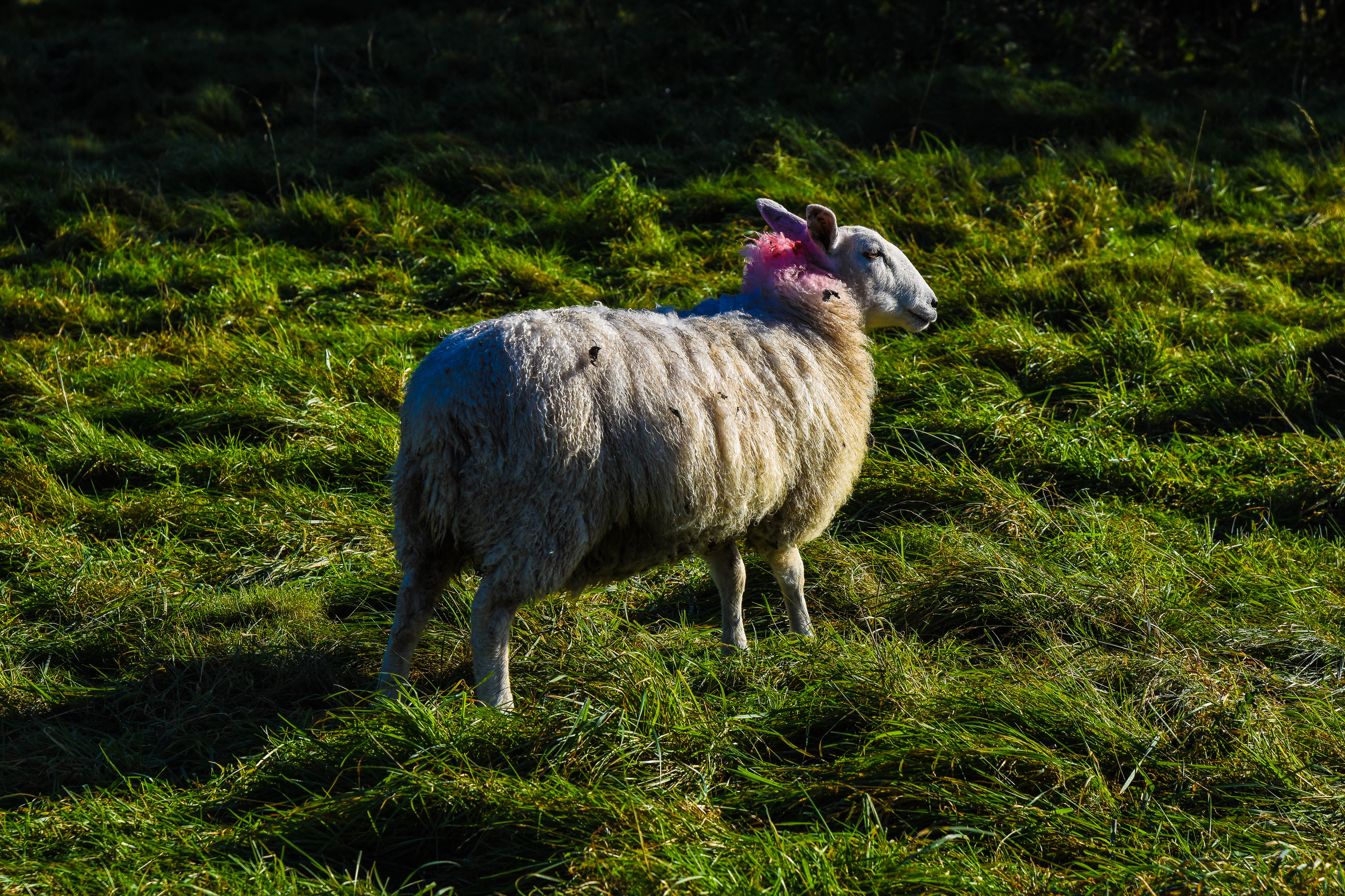 Maulden Autumn - get outside and enjoy - Maulden Village