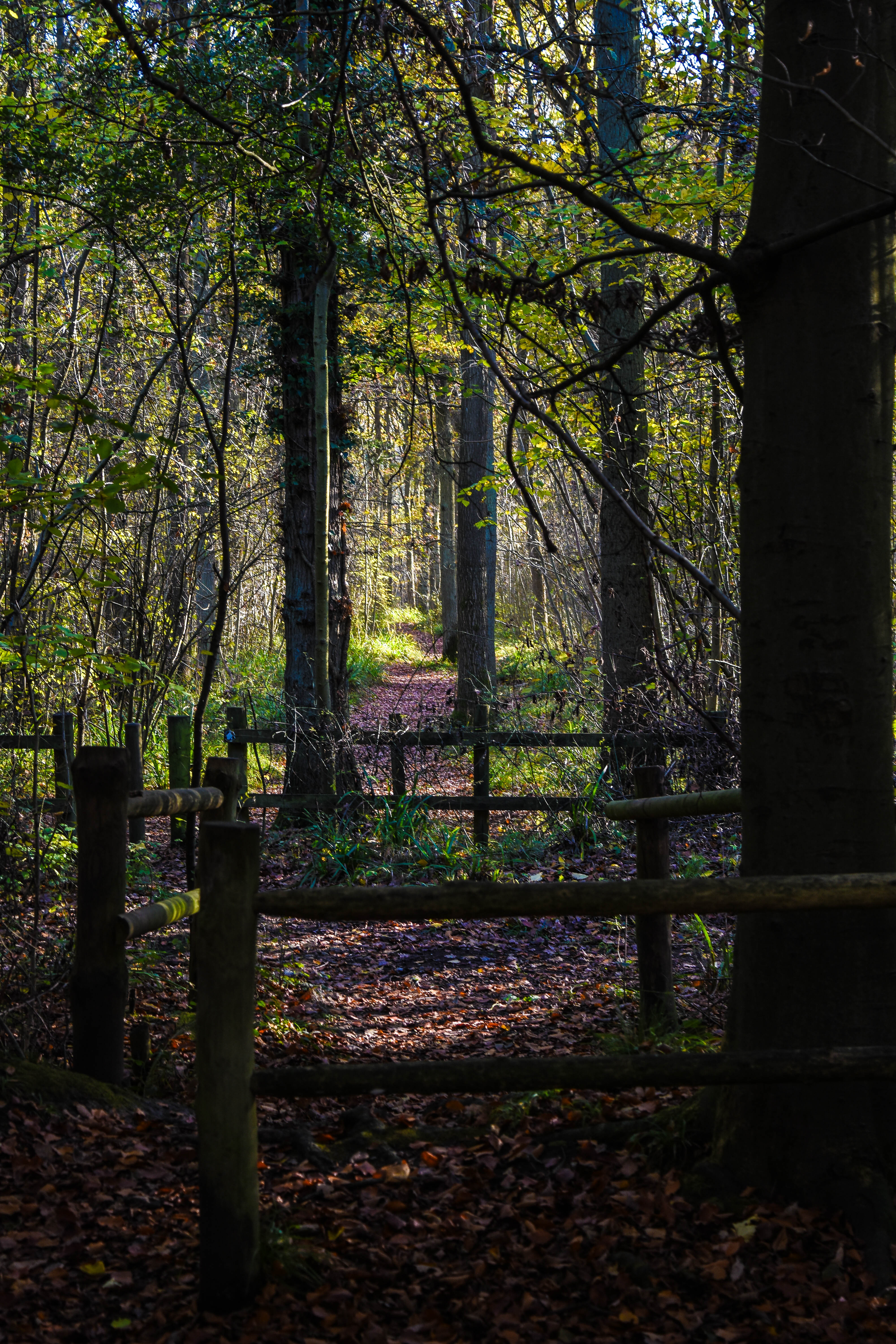 Maulden Autumn - get outside and enjoy - Maulden Village