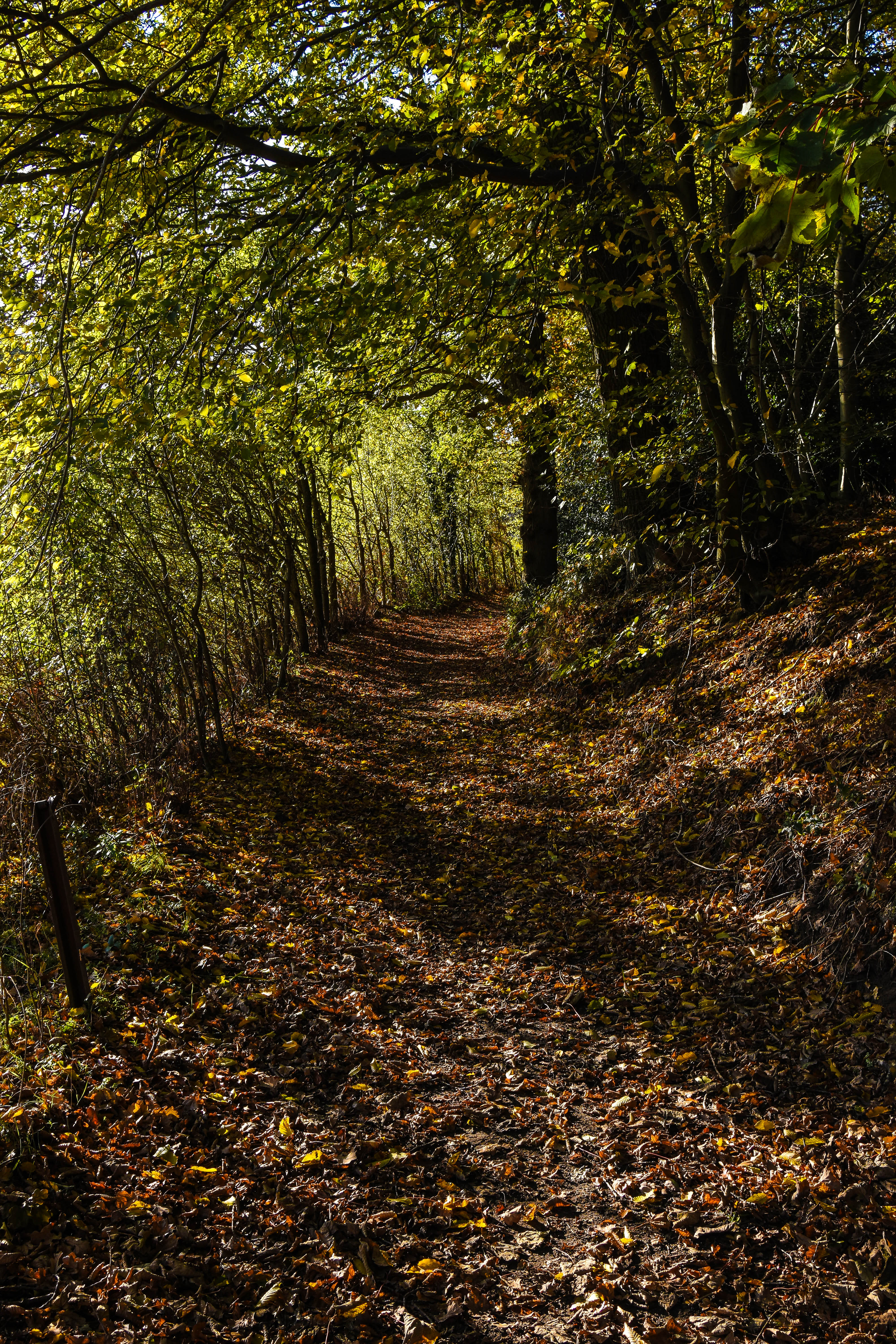 Maulden Autumn - get outside and enjoy - Maulden Village